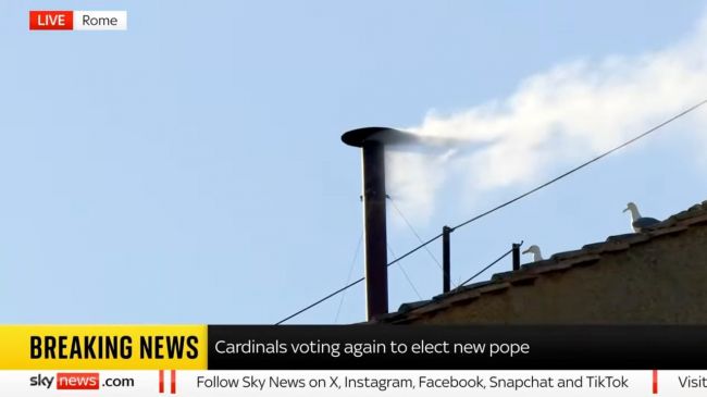 Пошел белый дым: в Ватикане выбрали нового папу римского — EADaily, 8 мая 2025 — Новости России ...